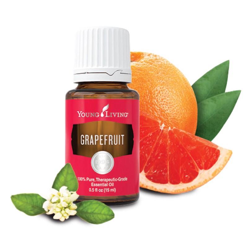 Ready Stok Original Young Living Grapefruit Essential Oil ( 15ml ...