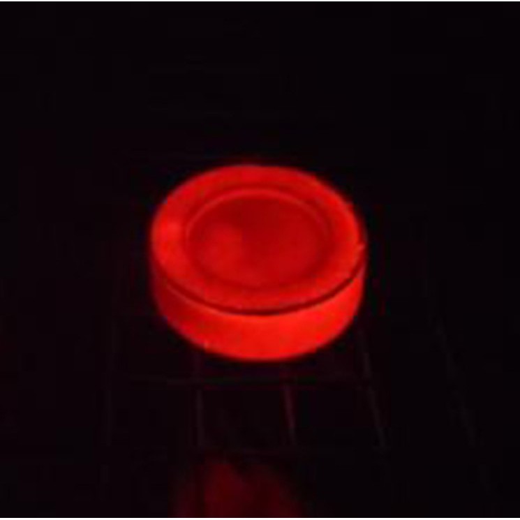 🔥 Ready Stock 🔥 Charcoal / Charcoal Tablets / Arang Original / Asli ...