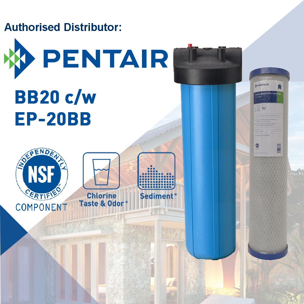 PENTAIR 150467S-LS4 20" Big Blue Water Filter System + PENTAIR EP-20BB 20"Carbon Block Cartridge ...