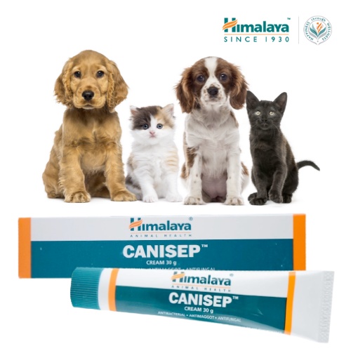 REPACK Himalaya CANISEP CREAM 5G / 8G (dermatitis, cuts, dry/moist ...