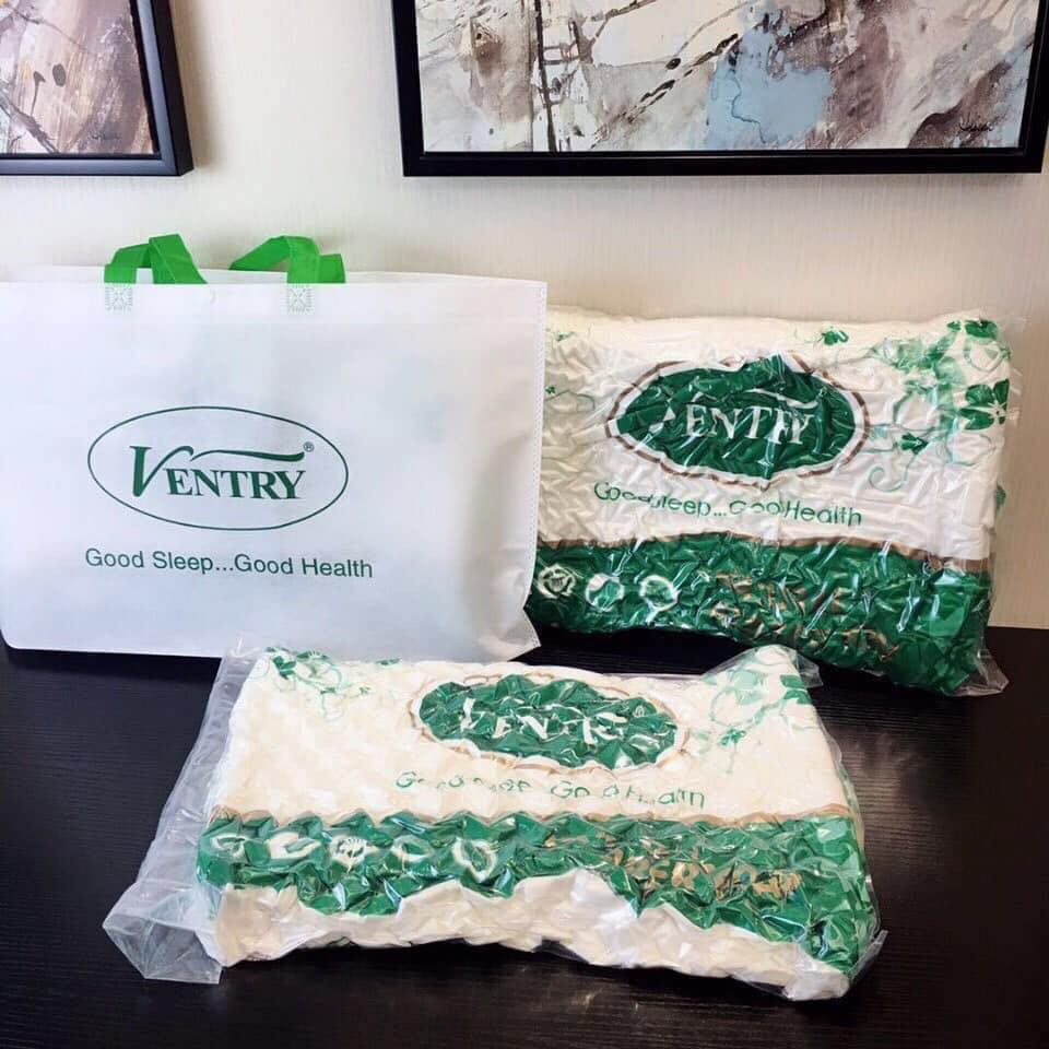 Ventry Premium young rubber pillow imported genuine from Thailand ...