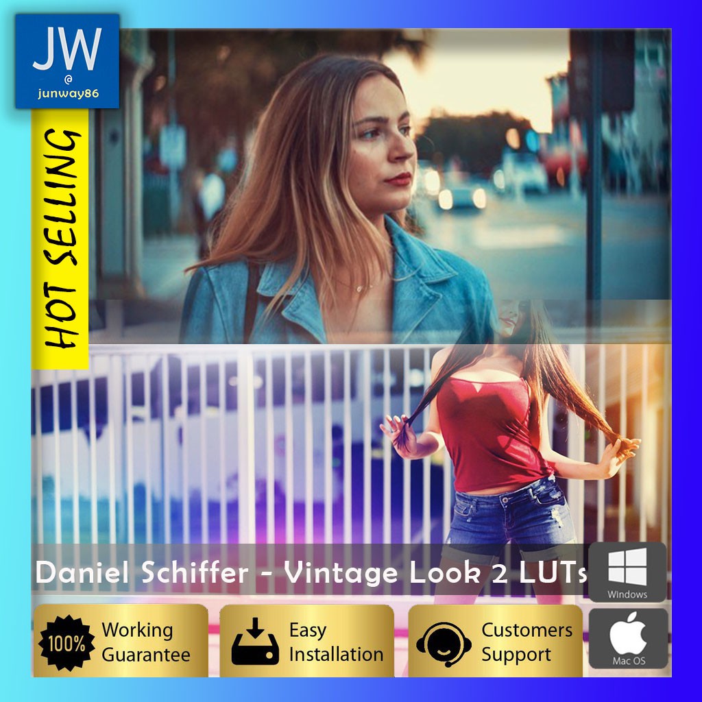 Daniel Schiffer Vintage 2 LUT & SANDFIELDLUTs By Daniel Schiffer (2 in ...