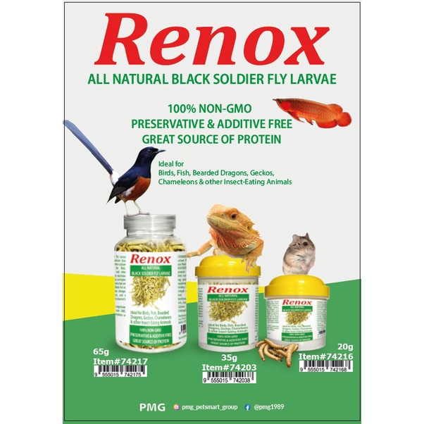 Renox All Natural Black Soldier Fly Larvae - Bird Food, Fish Food, Pet ...