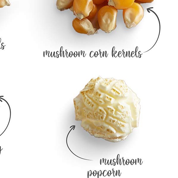 Pop Corn Biji Jagung Corn Kernel Bertih Jagung Mushroom Popcorn ...