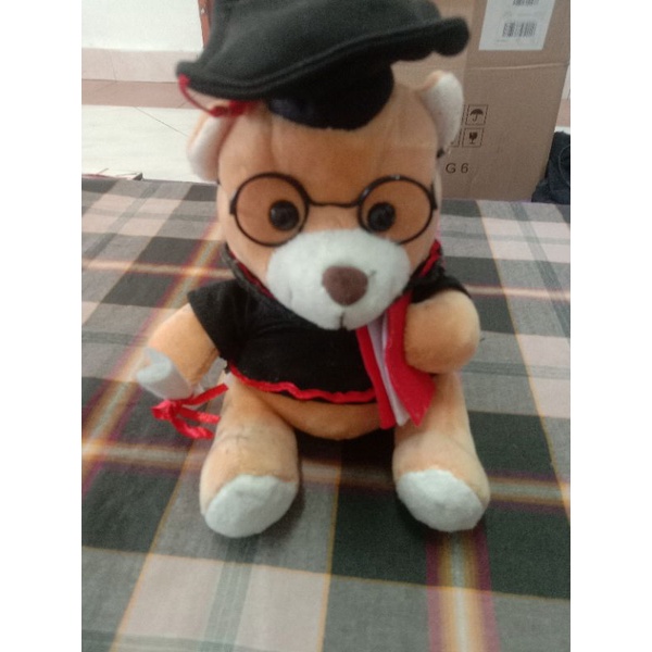 Teddy Bear Convocation Graduation Bear Anak Patung Graduan Konvo ...