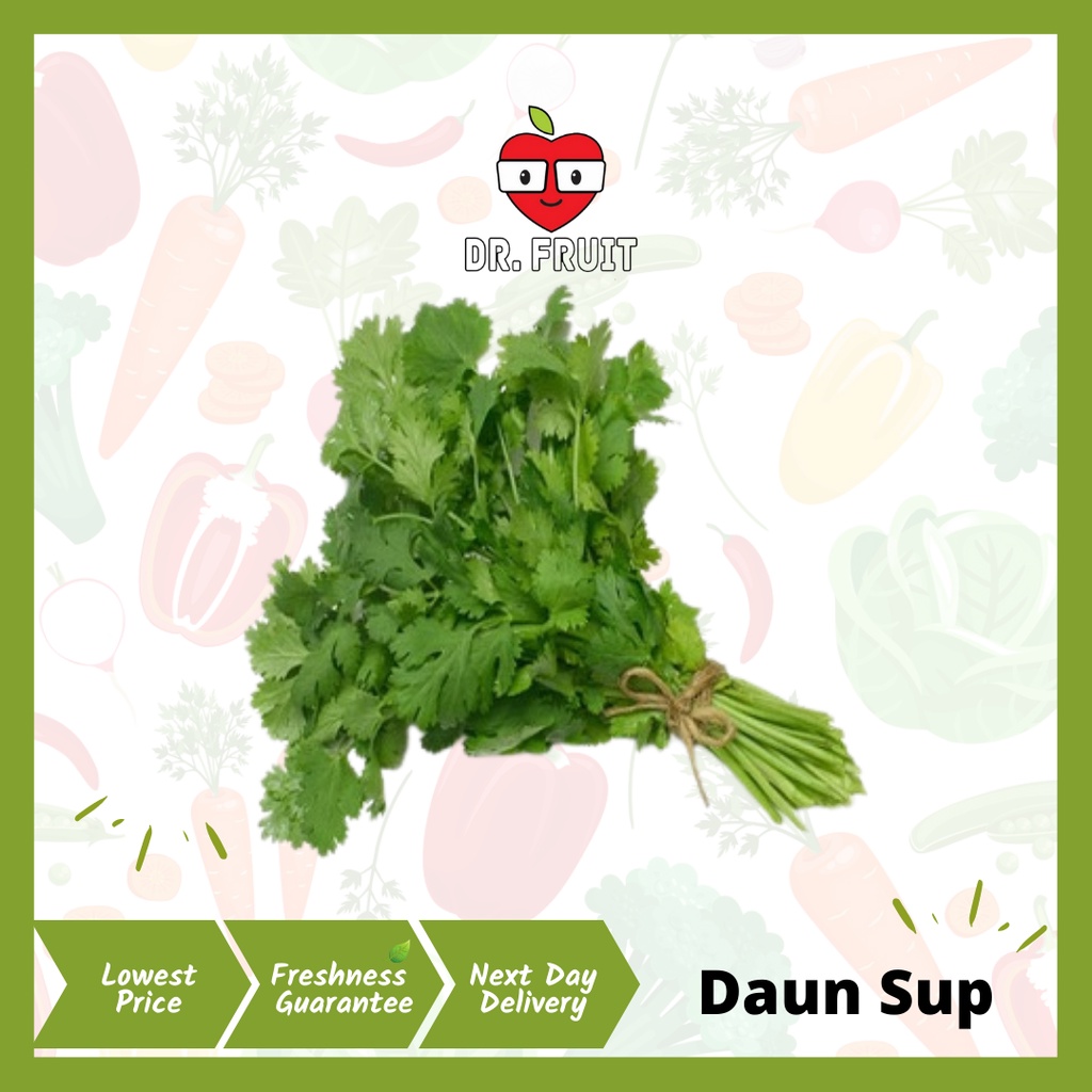 Daun Sup 250g+- 芹菜 | Dr.fruit /Leaf Celery (Saderi daun) | Shopee Malaysia