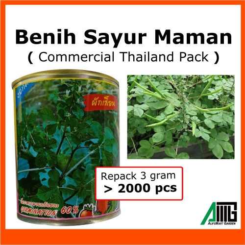 MAMAN Benih Sayur Maman Thailand Cleome | Shopee Malaysia