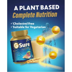 Gsure Complete Nutrition Vegetarian Milk 900g | Shopee Malaysia