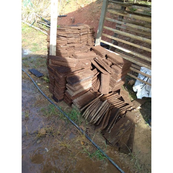 FERN SLAB..saiz 24inci x 5/6inci | Shopee Malaysia