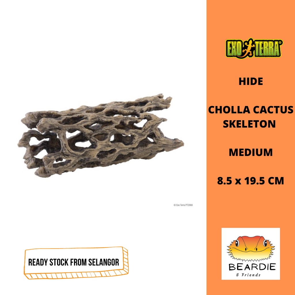 EXO TERRA DESERT ORNAMENT DECORATION CHOLLA CACTUS SKELETON HIDE ...