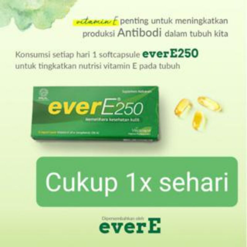 EVER E 250 (1box isi 12 kapsul) | Shopee Malaysia