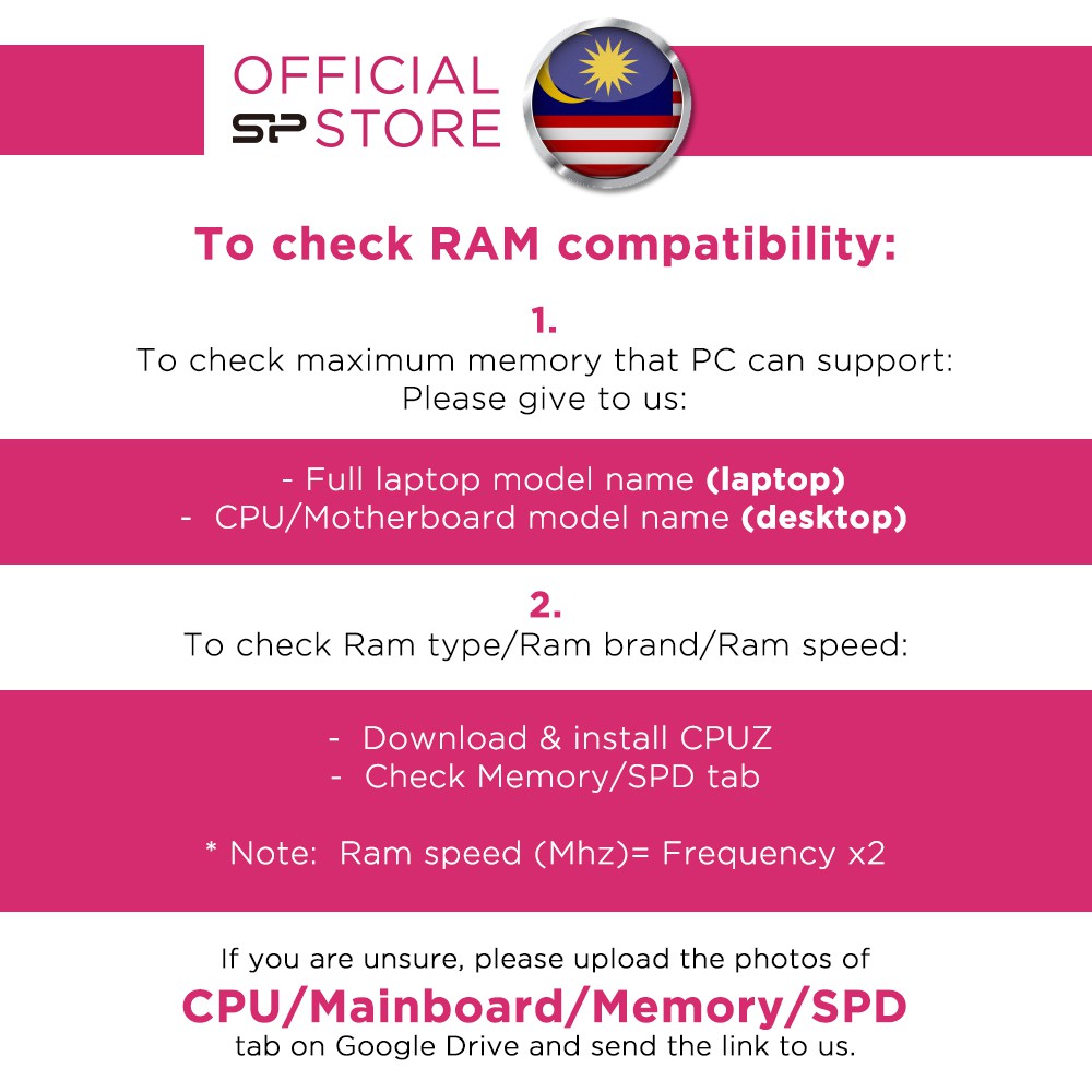 Ram Type Check