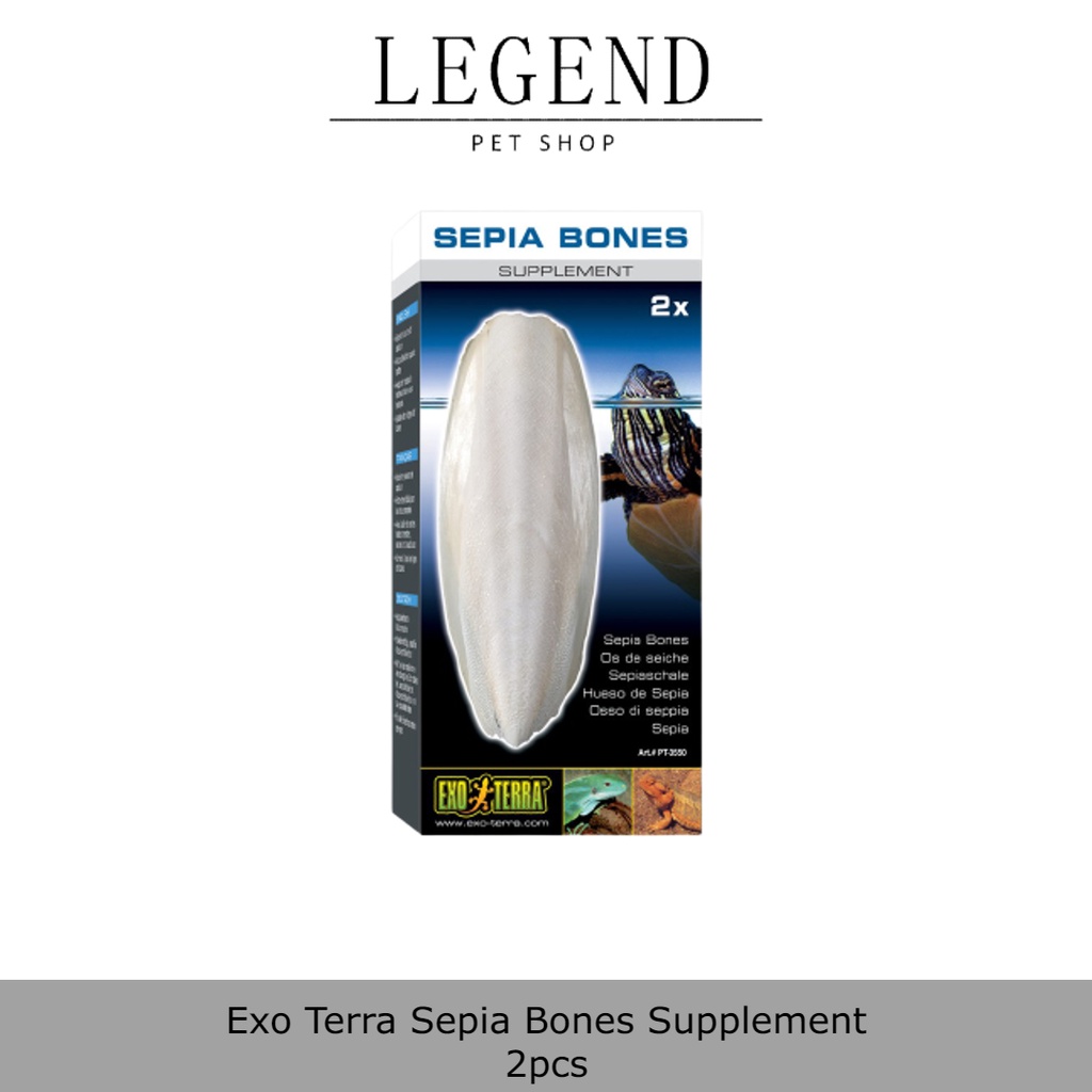 Exo Terra Sepia Bones Supplement (2 Pcs) Natural Cuttlefish Tulang ...