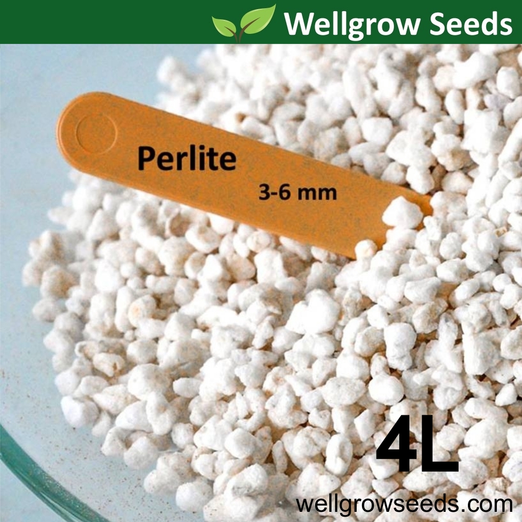 4L Perlite 珍珠岩 3-6mm For Cactus & Succulents (Natural Expanded Volcanic ...