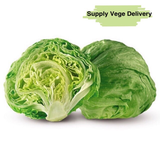 fresh lettuce - Prices and Promotions - Jun 2026 | Shopee Malaysia