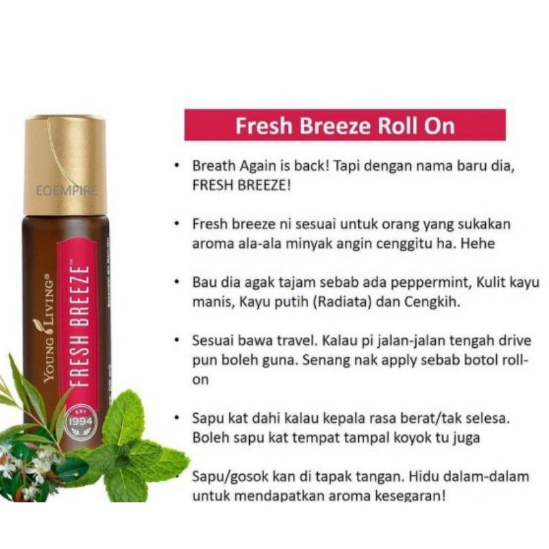 READY STOCK FRESH BREEZE ROLL ON | Shopee Malaysia