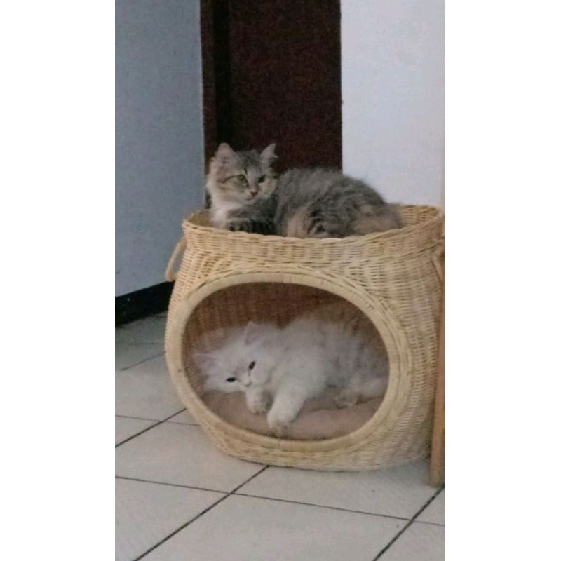 Original Rattan Cat House | Shopee Malaysia
