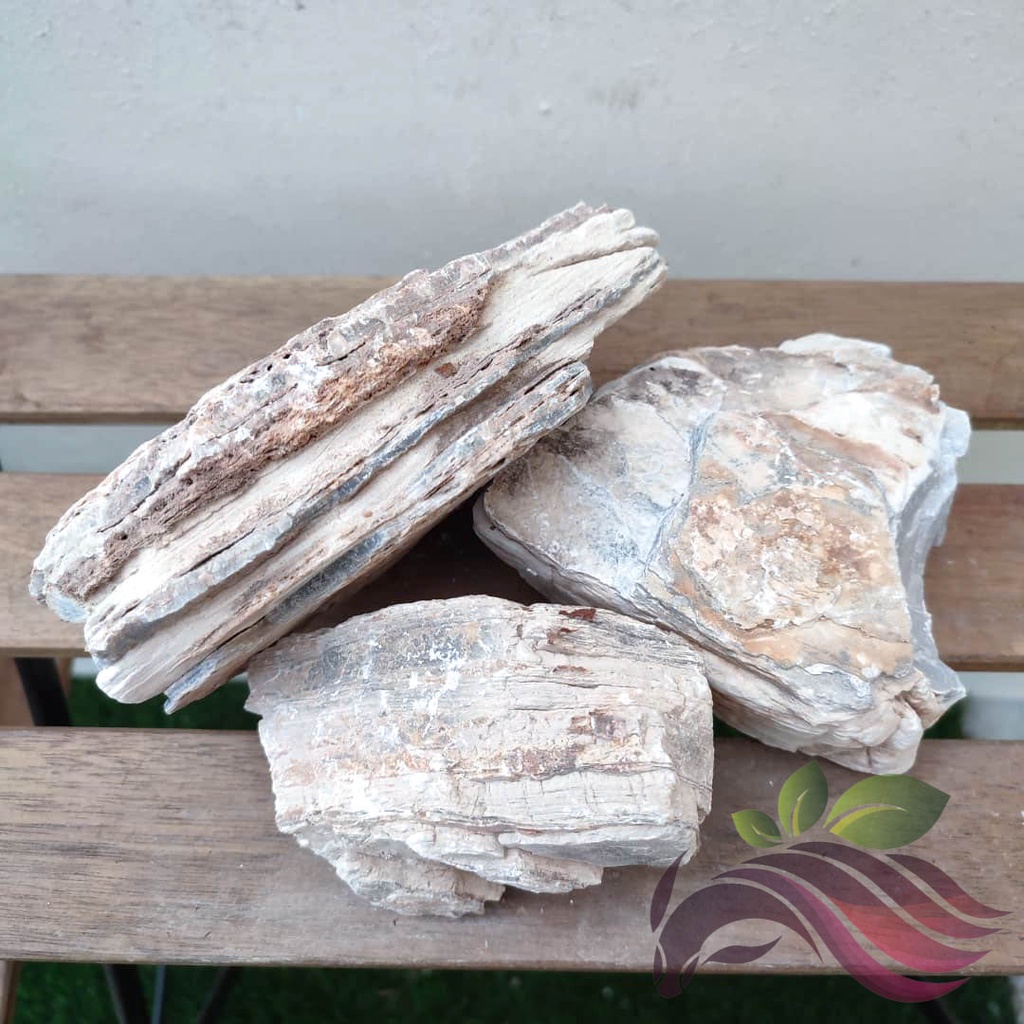 [Stone] Shale Rock 页岩 1kg by LS Group | Shopee Malaysia