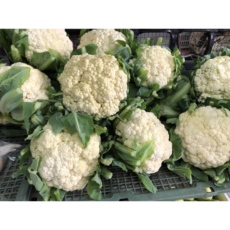 Cameron Fresh Cauliflower ｜ Cameron Kobis Bunga ｜ 包菜花 Cameron Highlands ...