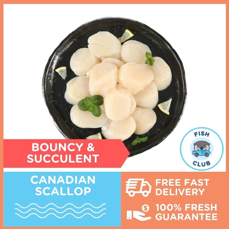 Canadian Wild Scallop / Kekapis Kanada 500g | Shopee Malaysia