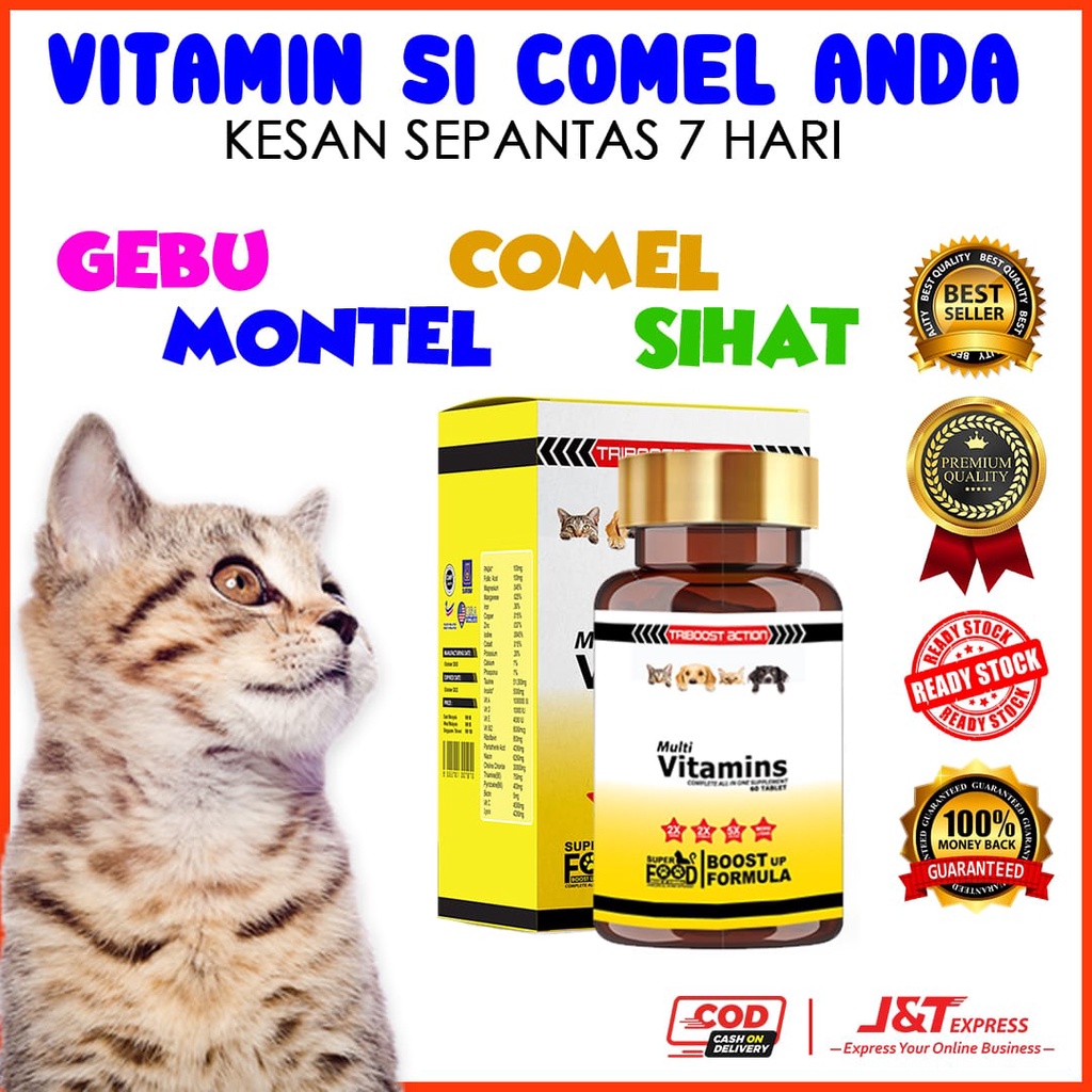 SUPERFOOD Multivitamin Supplement For Cat ( Ubat Untuk Kucing Kurap ...