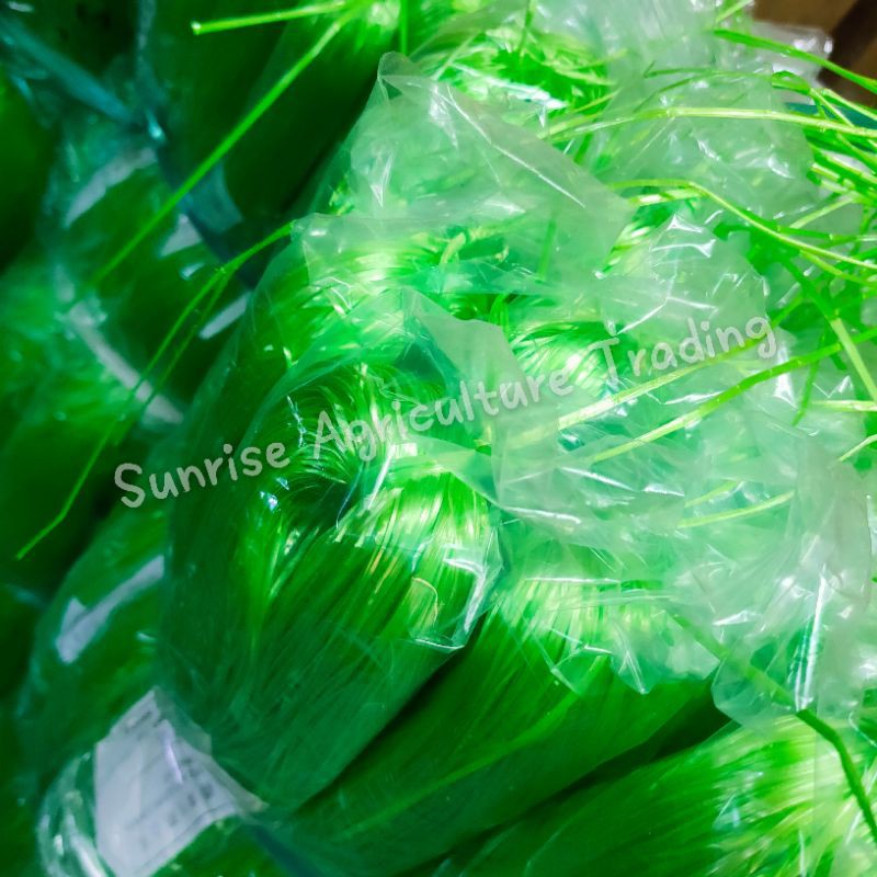 1PC Tali halus pertanian hijau / Tali rafia / tali plastic tanpa air ...