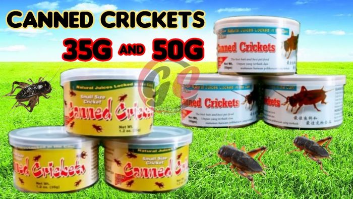 Canned Crickets🦗罐头蟋蟀🦗Jangkerik Tin 🦔35g Small Size & 50g Big 🦎 | Shopee ...