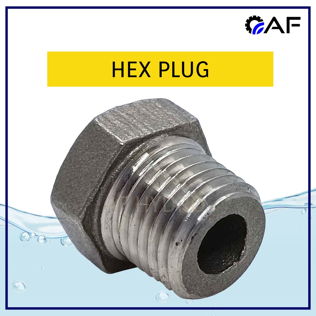 Stainless Steel SS316 Hexagon Plug Fitting 1/8” to 4” BSPT Male Pipe ...