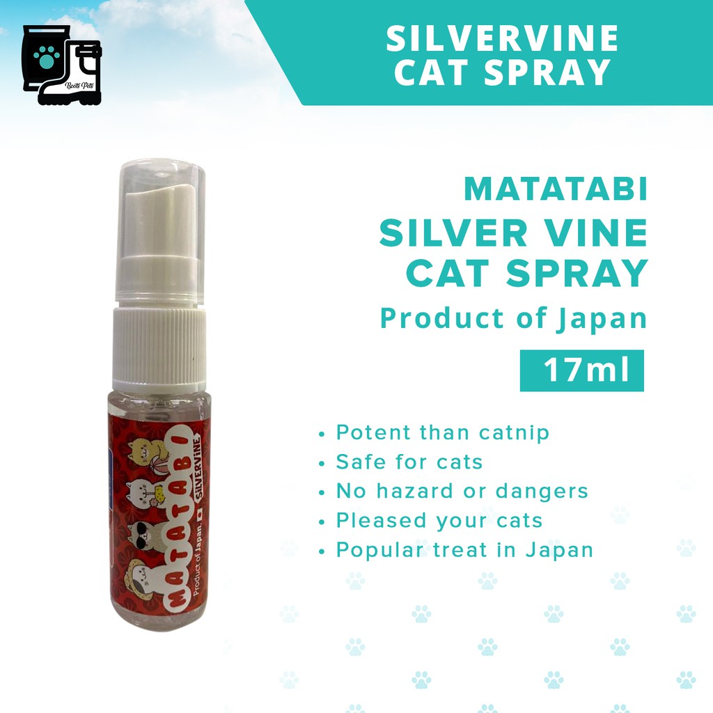 🇯🇵 Matatabi Silvervine Cat Spray (17ML) - Silver Vine Spray, Better Than Catnip 纯天然木天蓼虫瘿果提取液噴霧劑 ...