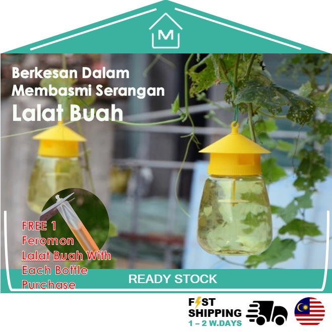 Anti Fruit Fly Trap Pheromone Attractant Bottle Catcher | Botol ...
