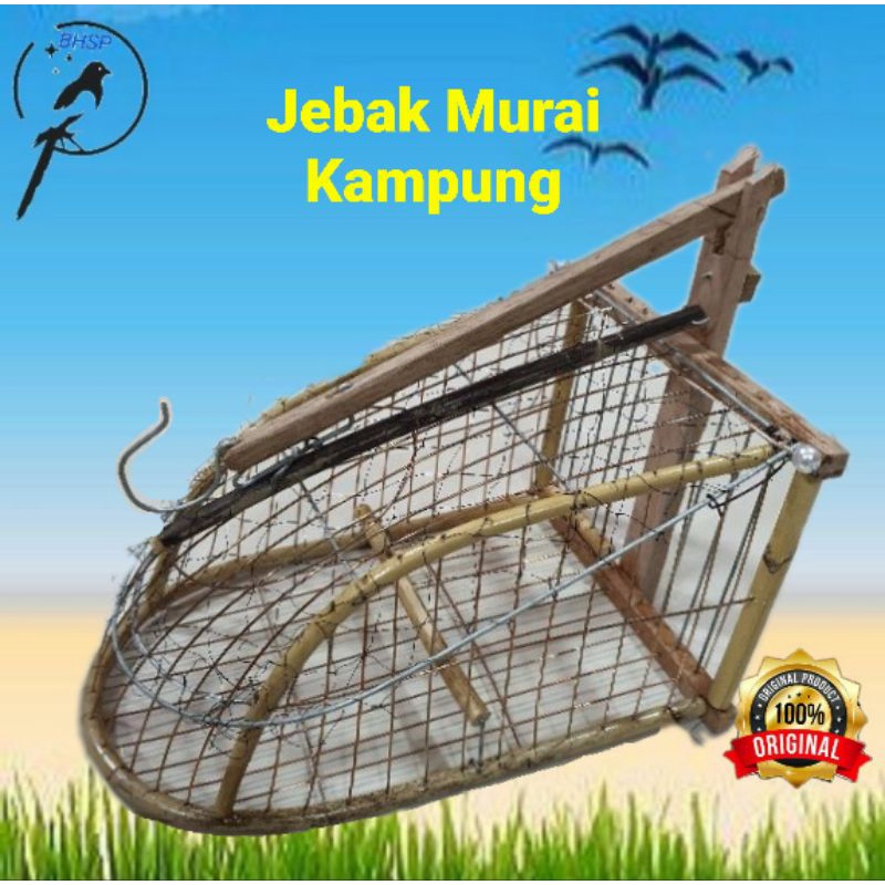 Jebak Murai Kampung (Jenis Kasut) | Shopee Malaysia