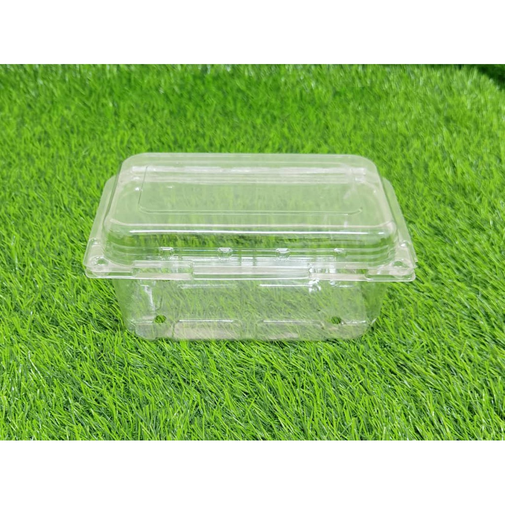 Fruit Box Disposable Plastic Tray Transparent Box Fresh H500C | Shopee ...