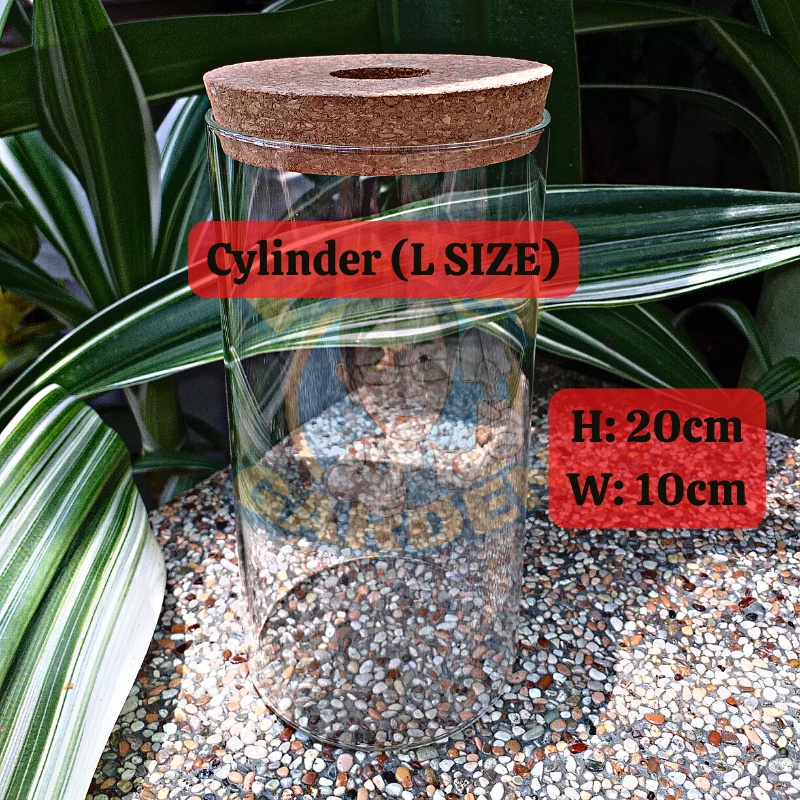 Pasu Kaca Bunga Hiasan Ruang Tamu Hydroponic Glass Vase Transparent Pot ...