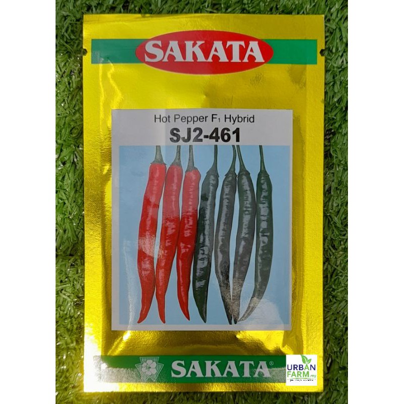 BENIH CILI KULAI SAKATA SJ2 461 HOT PEPPER CHILI SEEDS HYBRID 10GM ...