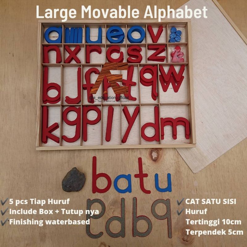 Large Movable Alphabet LMA learning Montessori letters Paint one side ...