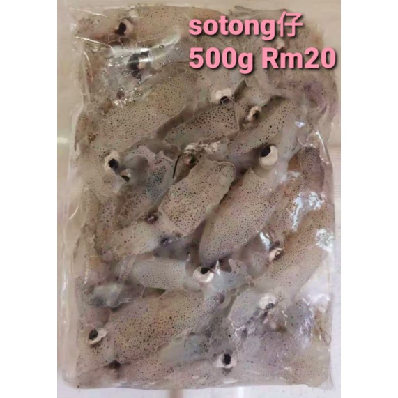 小乌贼 sotong仔 500g sotong baby | Shopee Malaysia