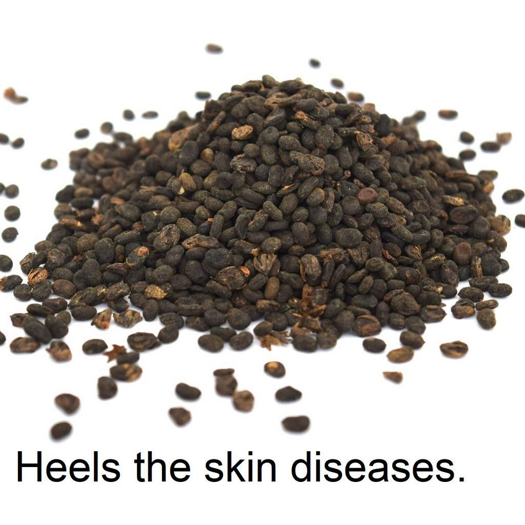 Karboga Arisi - Babchi Seeds - Sampangi vidhai 250g | Shopee Malaysia