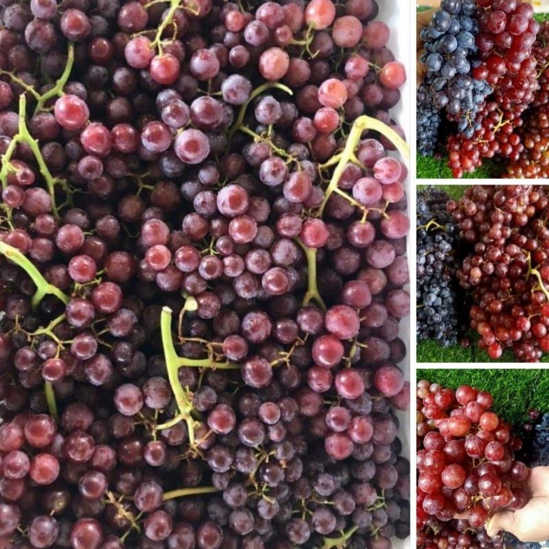 BABY ANGGUR 1KG SEEDLESS! MANIS! | Shopee Malaysia