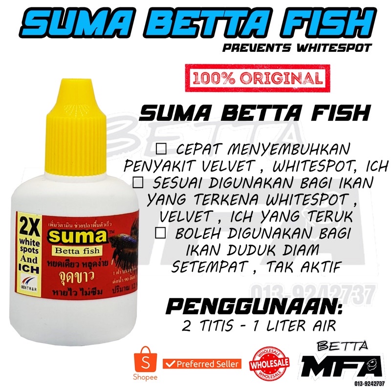 SUMA BETTA FISH (YELLOW CAP) - MADE IN THAILAND ( IKAN DUDUK DIAM ...