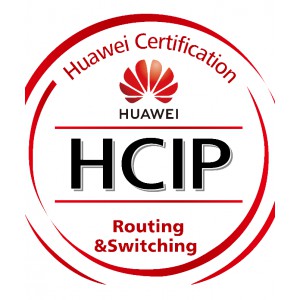 HCIP-R&S H12-221 V2.5 华为数通工程师题库 | Shopee Malaysia