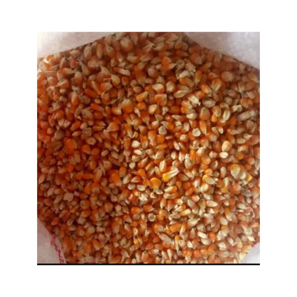 Crystal corn 1 kg pigeon feed etc | Shopee Malaysia