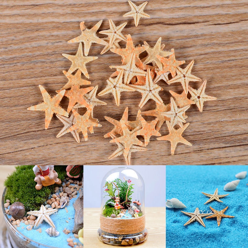 20pcs Mini Starfish Sea Star Aquarium DIY Craft Wedding Home Decor ...