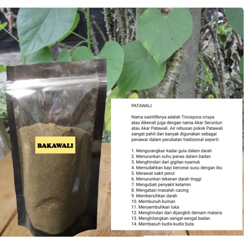 SERBUK BATANG BAKAWALI/BUTROWALI/PATAWALI/AKAR SERUNTUN(100gram ...