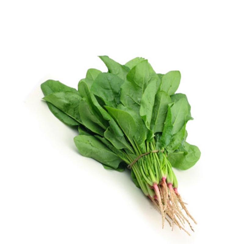 baby spinach seeds bayam bulat potted friendly indoor/outdoor | Shopee ...