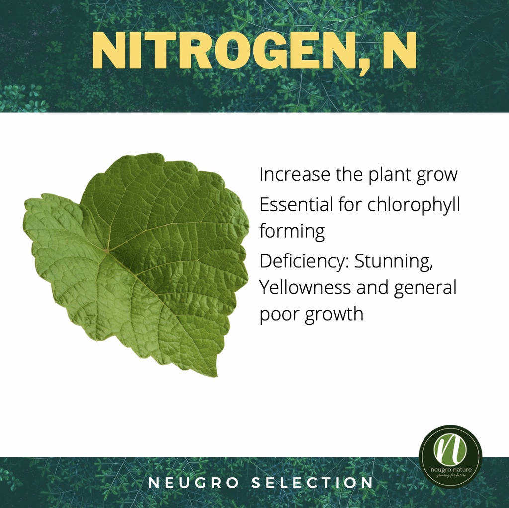 NEULEAF Baja Daun Hijau (700g) Baja Subur NPK (16:16:16) Nitrogen Focus ...