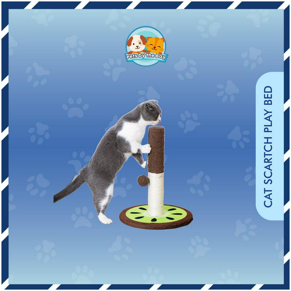 Cat Scratch Play Bed | Shopee Malaysia