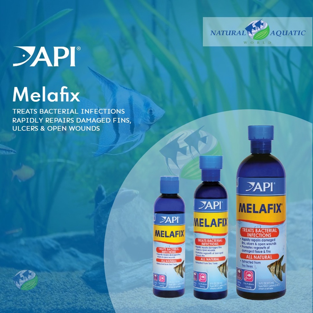 API Melafix 118ml/ 237ml/ 473ml (treats bacterial infections) | Shopee Malaysia