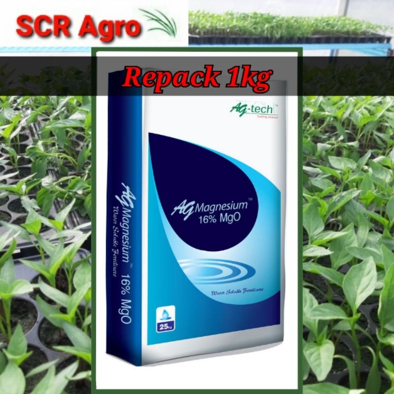 1kg AG Magnesium Sulphate Epsom Salt MgO AG-Tech Fertilizer Hydroponic ...