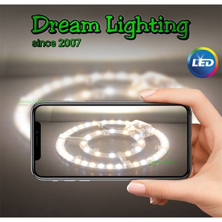 Dream Lighting / LED Circular Tube Light Bulb Module magnet Modules ...