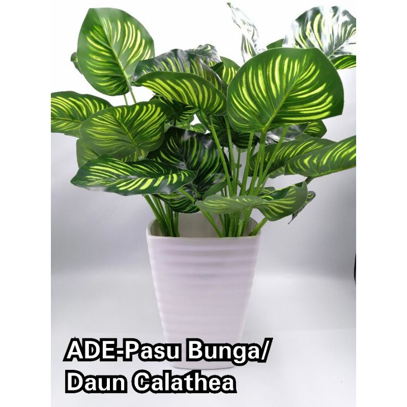 ADE-Moden Pasu Bunga/ Fiber Flower Pot/ Daun Calathea/ Daun plastik ...